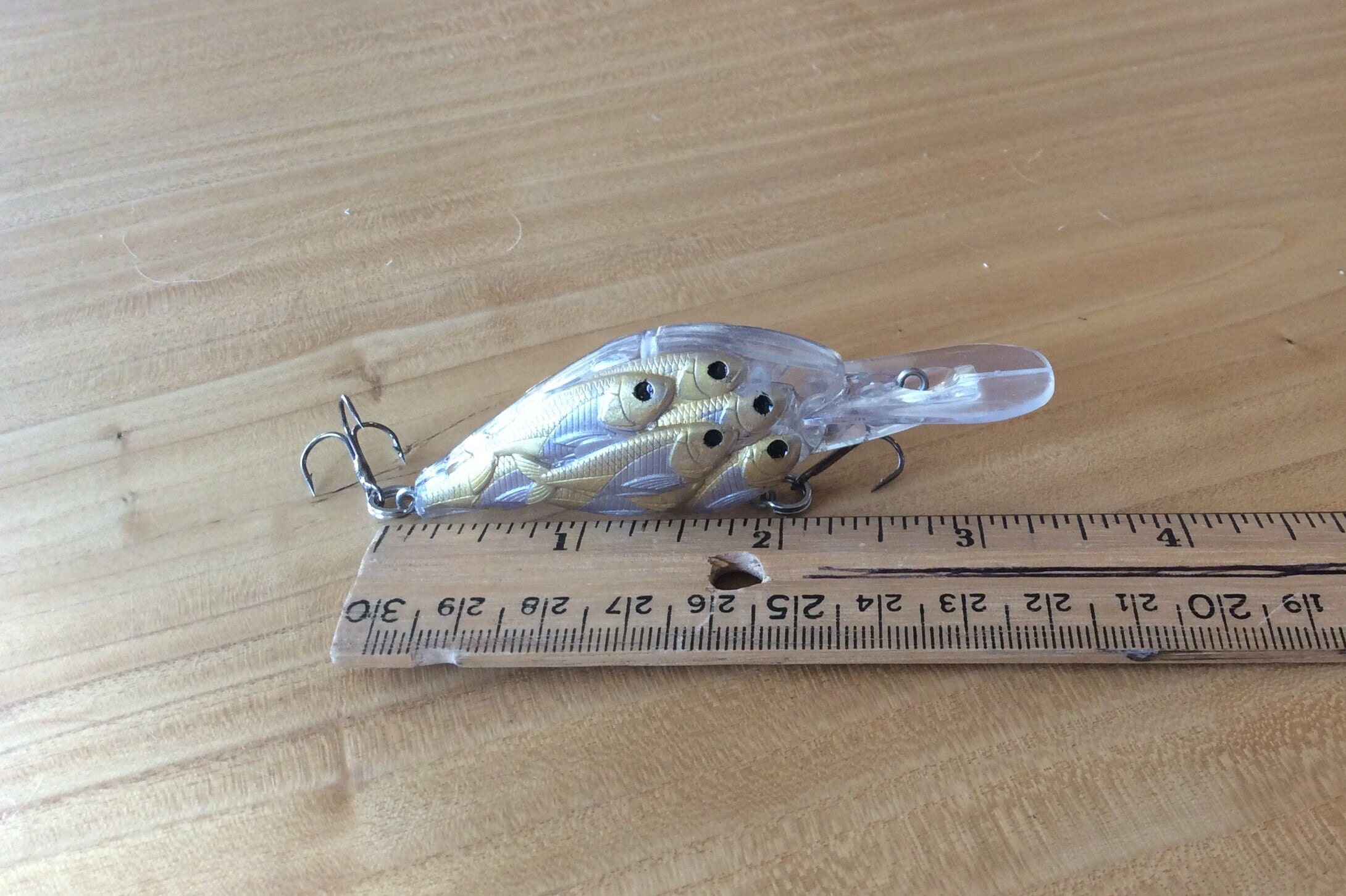 Golden Shiner Bait Ball - Etsy