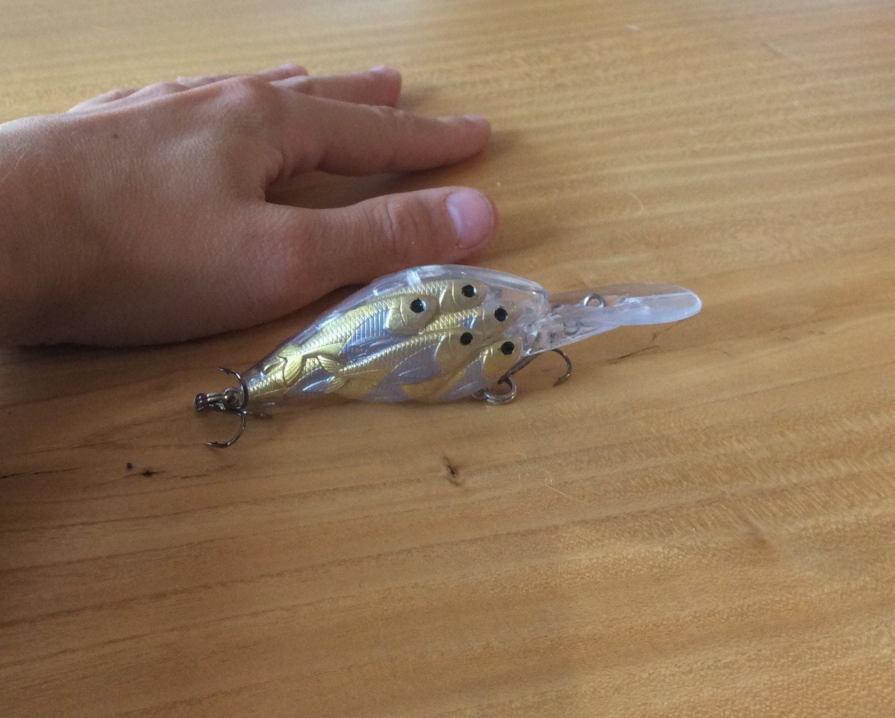 Golden Shiner Bait Ball - Etsy