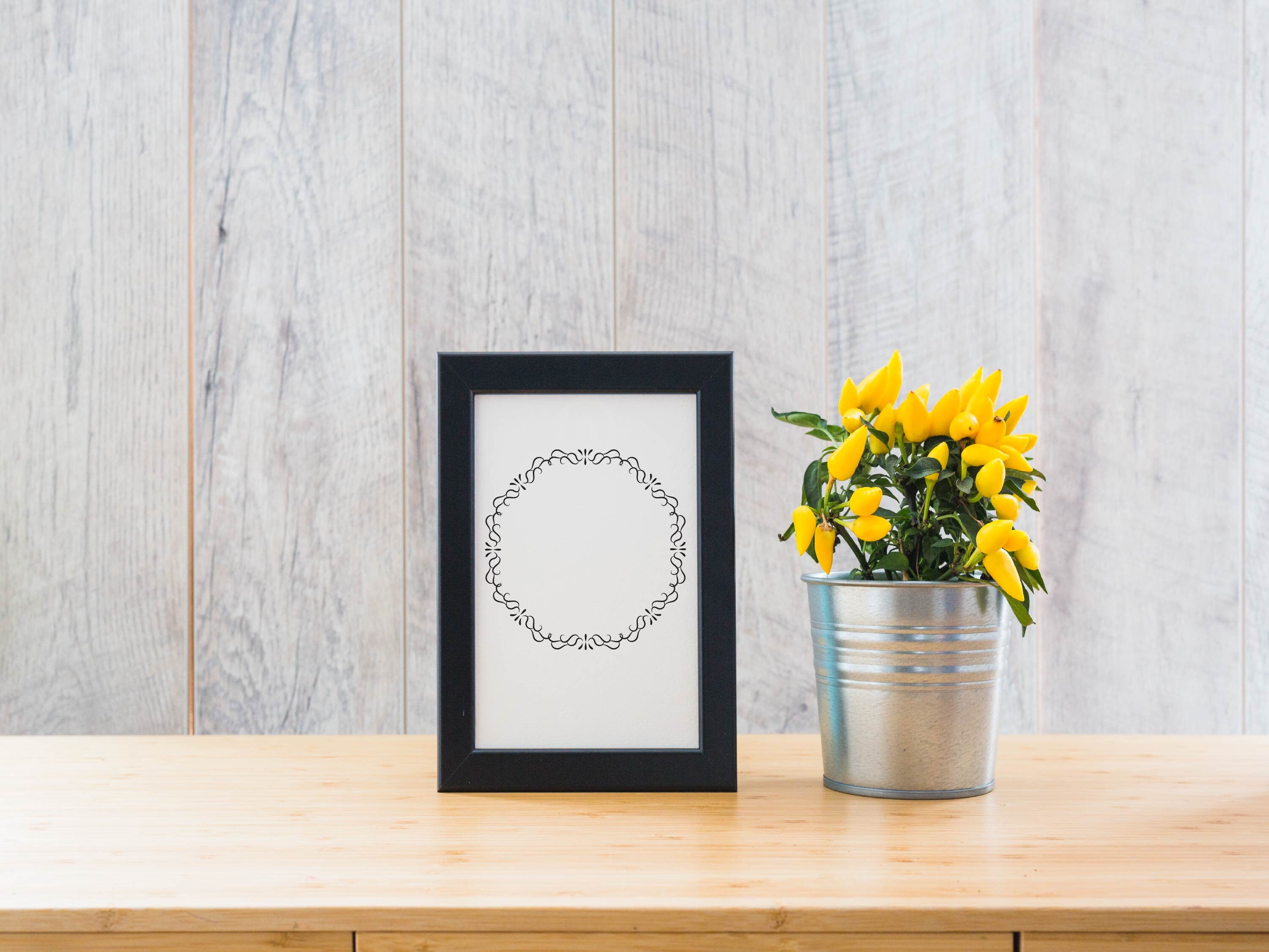 Circle Frame SVG Double Circle Frame SVG Circle SVG Round Frame Svg ...