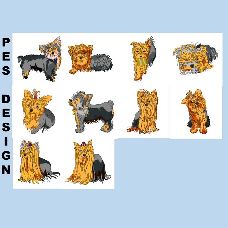 Yorkshire Terrier Yorkie 10 Machine Embroidery PES Designs Files ...