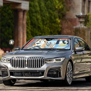 Bluey Car Sun Visor, Animated Car Sun Visor, Anime Car Decoration ...