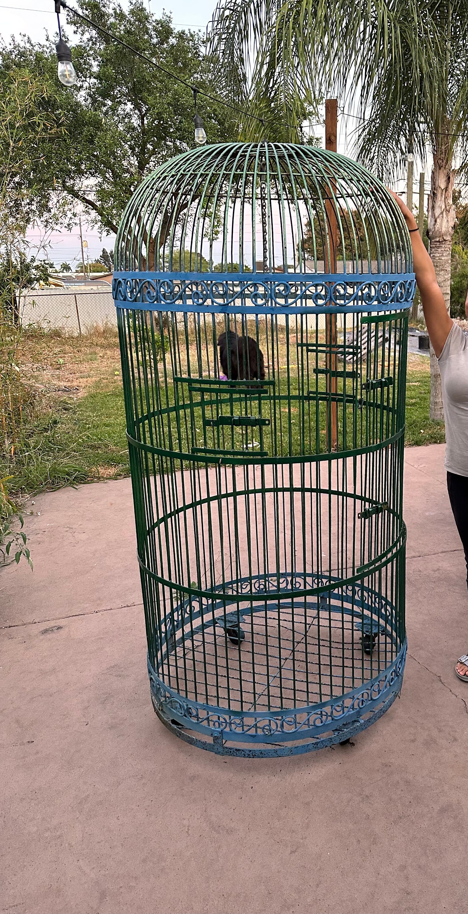 Large Victorian Antique Bird Cage - Etsy