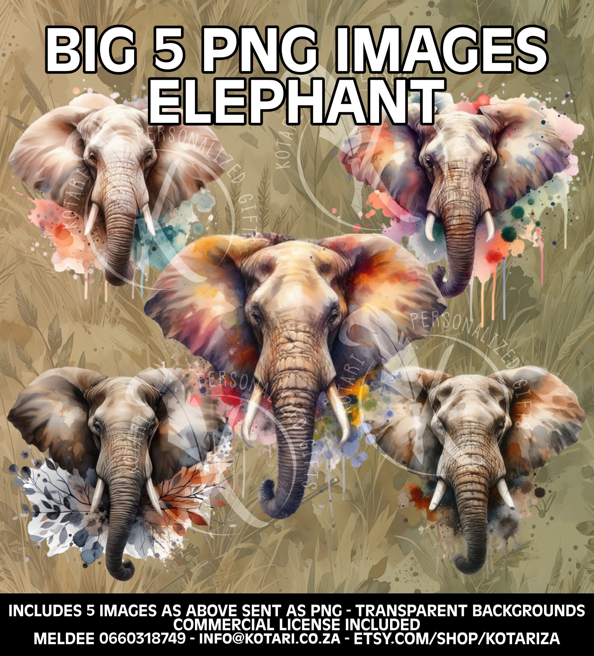 ALL Big 5 Animals PNG Transparent Images Commercial Lion Leopard Rhino ...