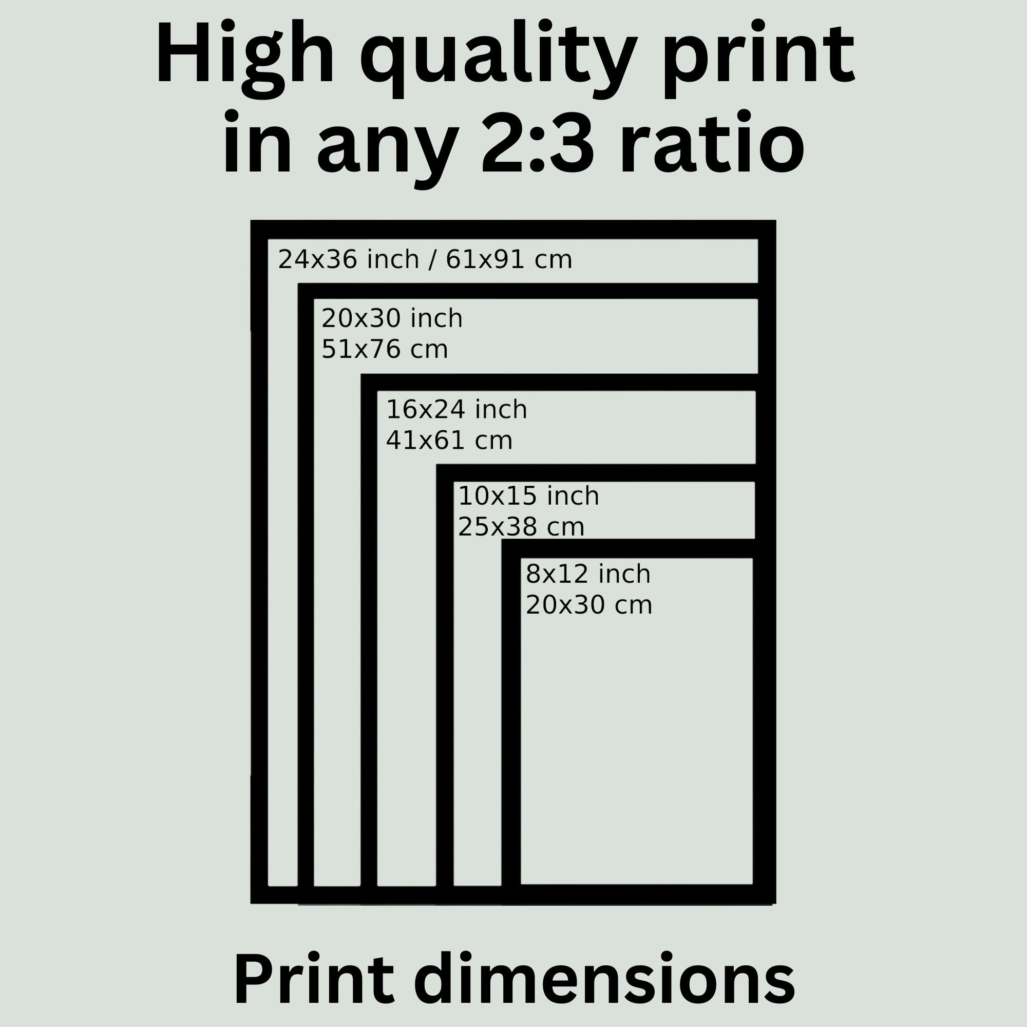 Maine Coon Definition Print Poster Cat Definition Print - Etsy