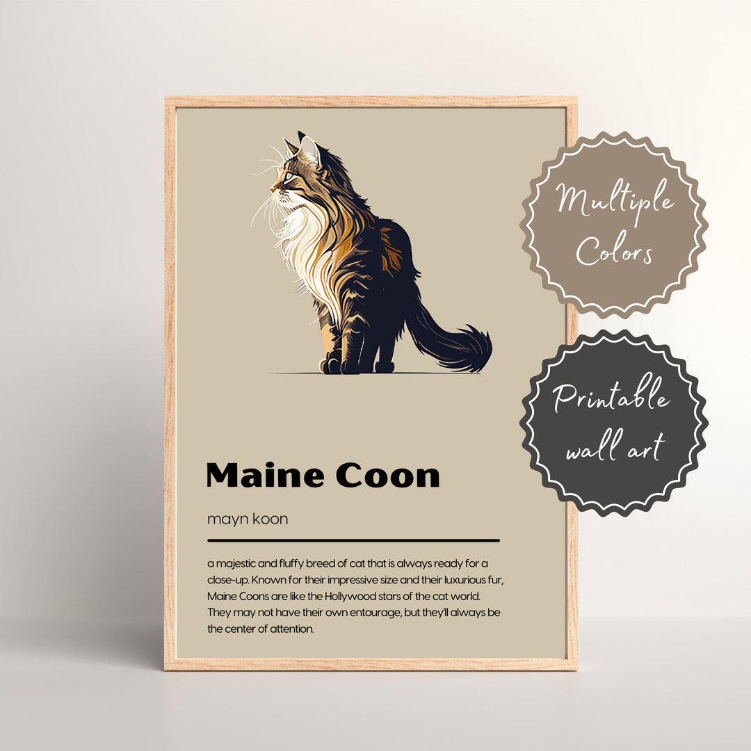 Maine Coon Definition Print Poster Cat Definition Print - Etsy