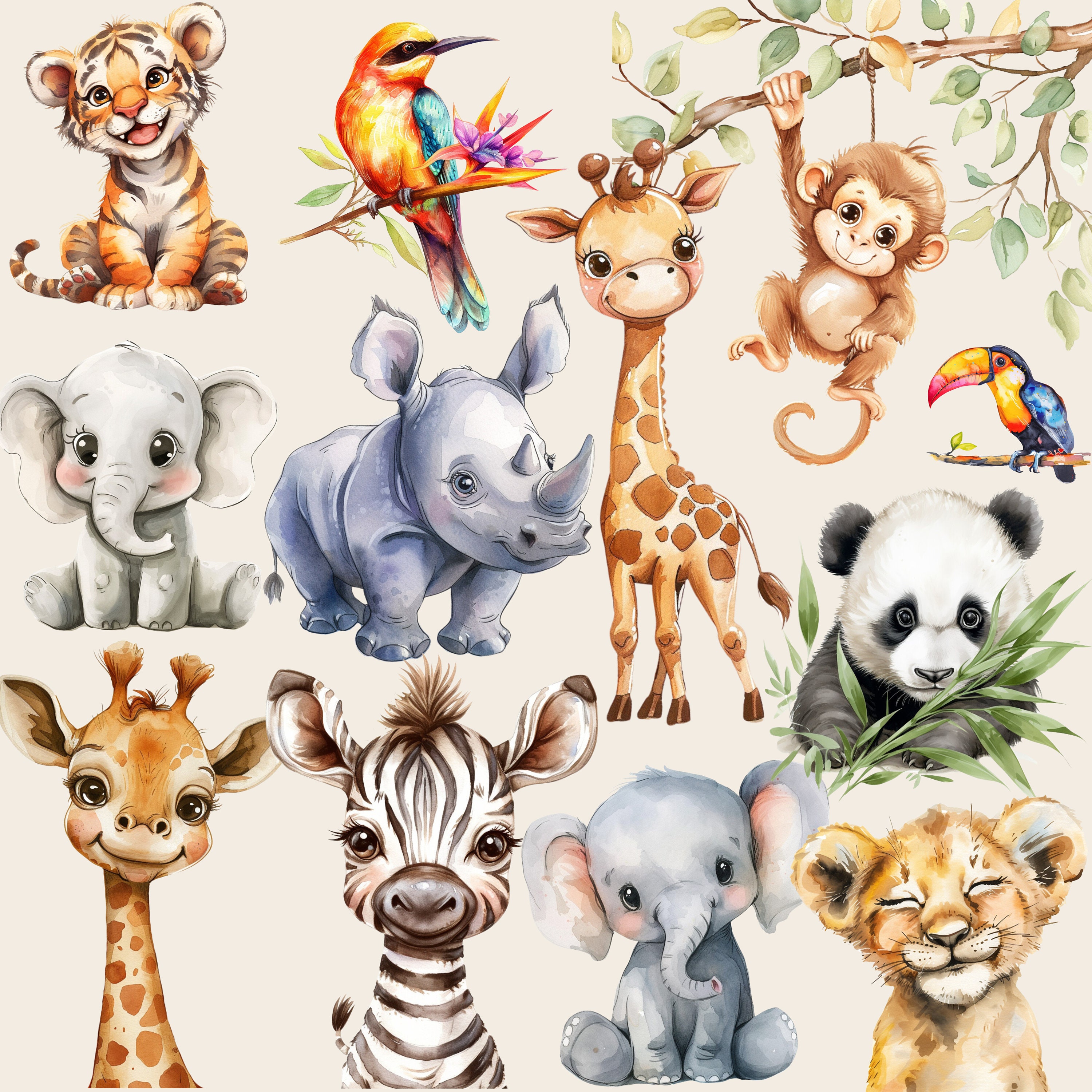 Cute Jungle Animals Clipart, Safari Baby Animal PNG, Watercolor Animal ...