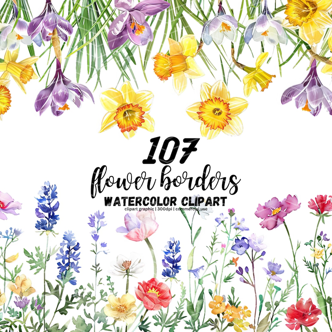Flower Border PNG, Flower Lines Clipart, Flowerborder, Wildflower ...