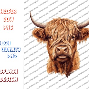 Heifer Cow PNG , Colorful Heifer Cow PNG, Heifer Cow , Portrait PNG ...