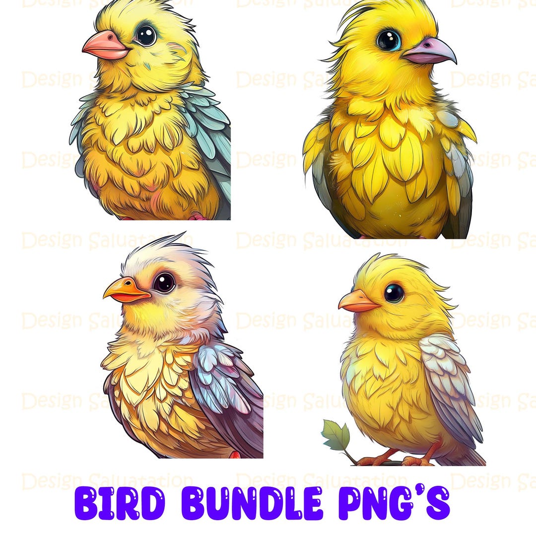 Bird Clipart Bundle PNG Images of Birds for Digital Scrapbooking, Card ...