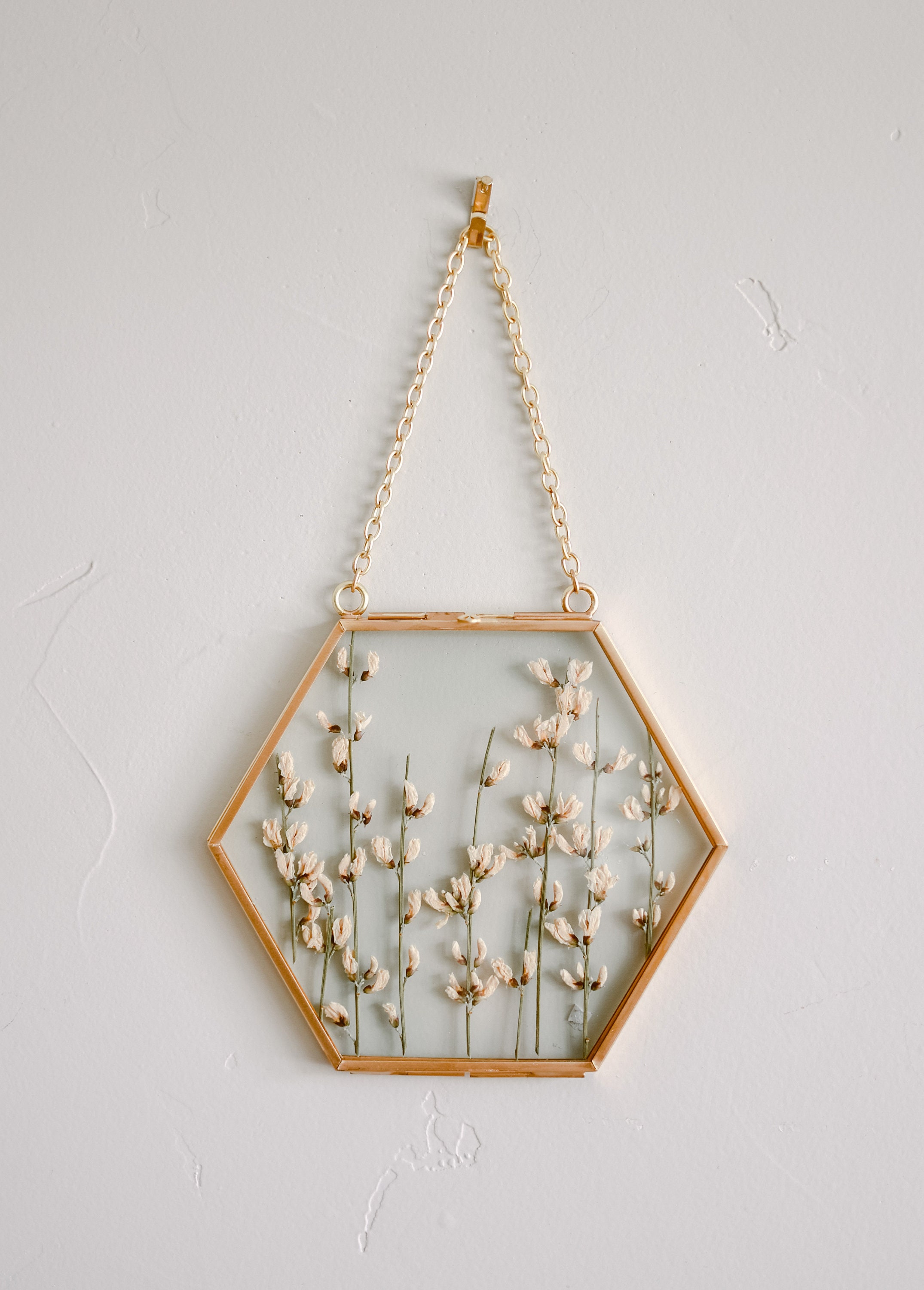 Hexagon Pressed Floral Frame - Etsy