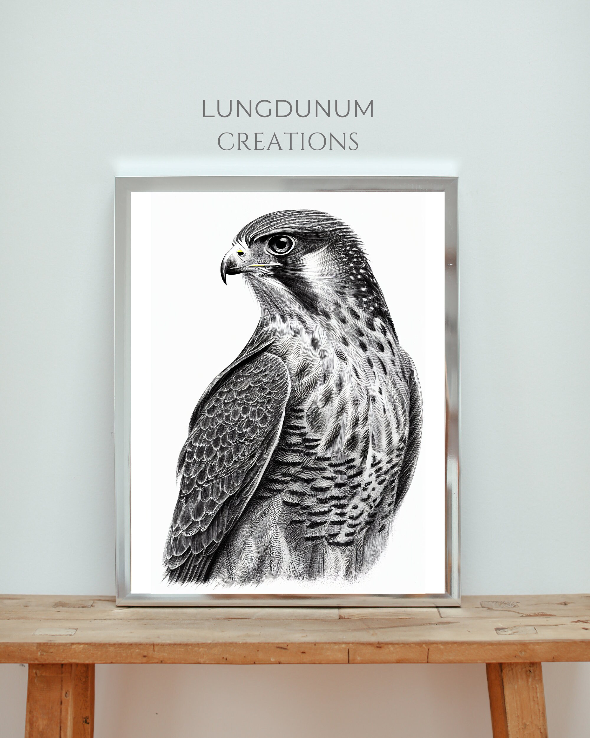 How To Draw A Falcon For Kids