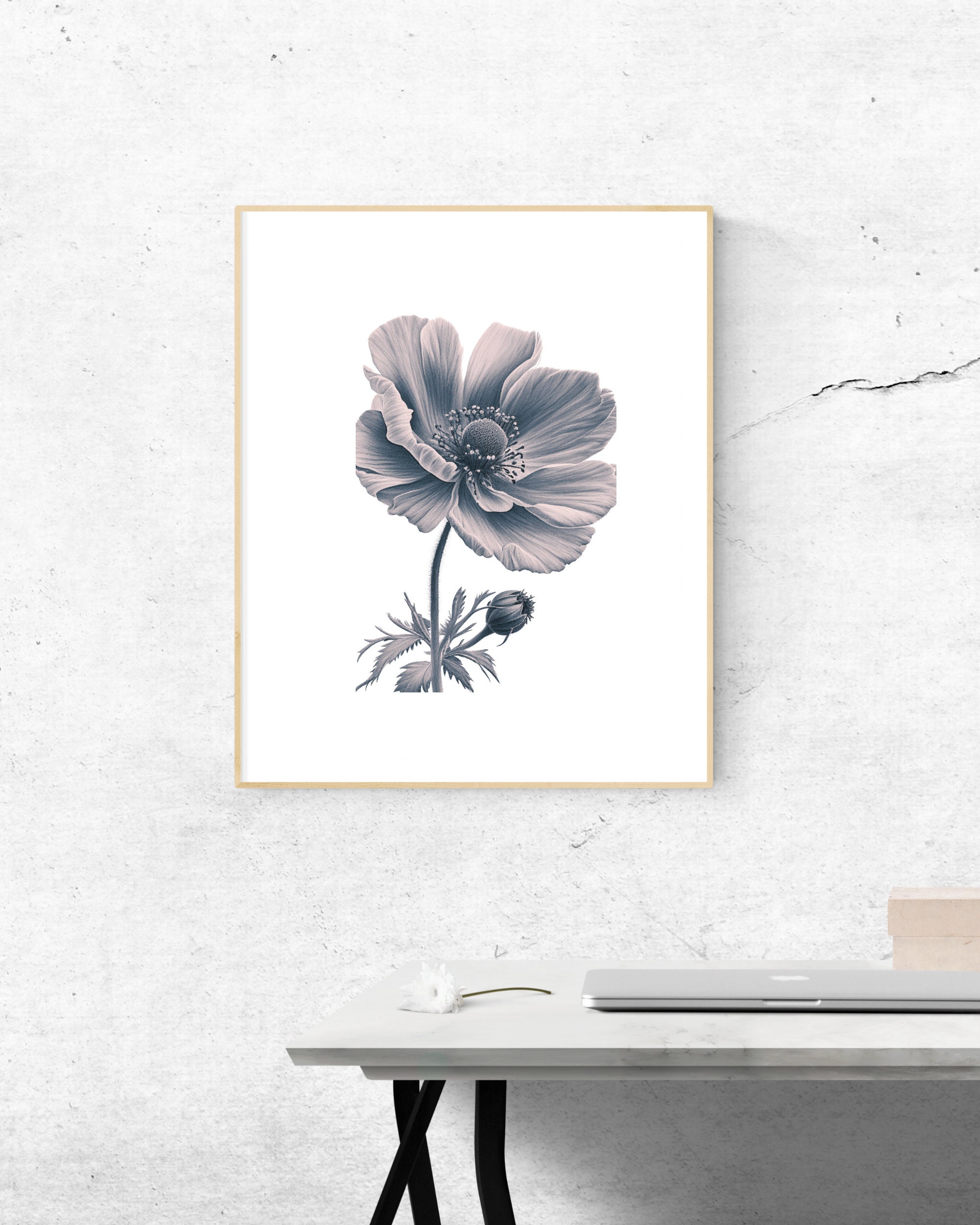 Stylized Anemone Flower Original Digital Drawing Printable - Etsy