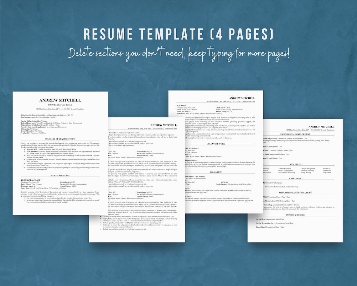 US Federal Resume Template for Word & Google Docs | USAJOBS Government ...