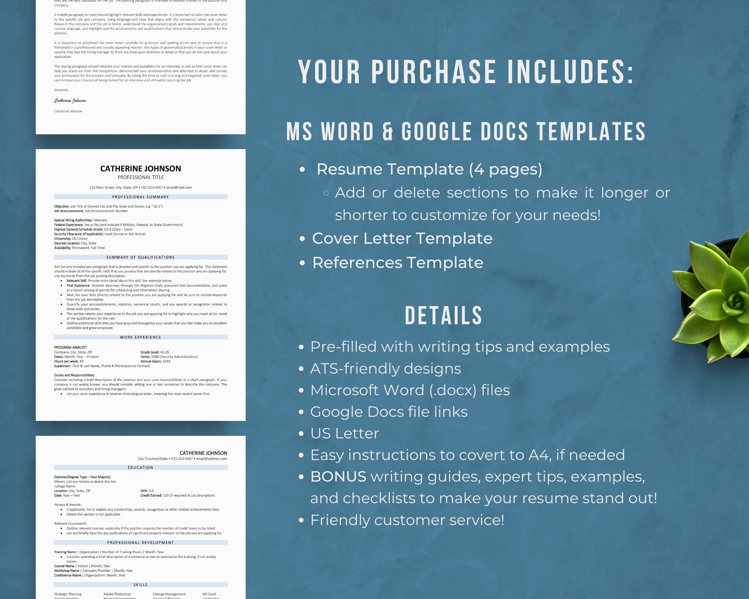 US Federal Resume Template for Word & Google Docs | USAJOBS Application ...