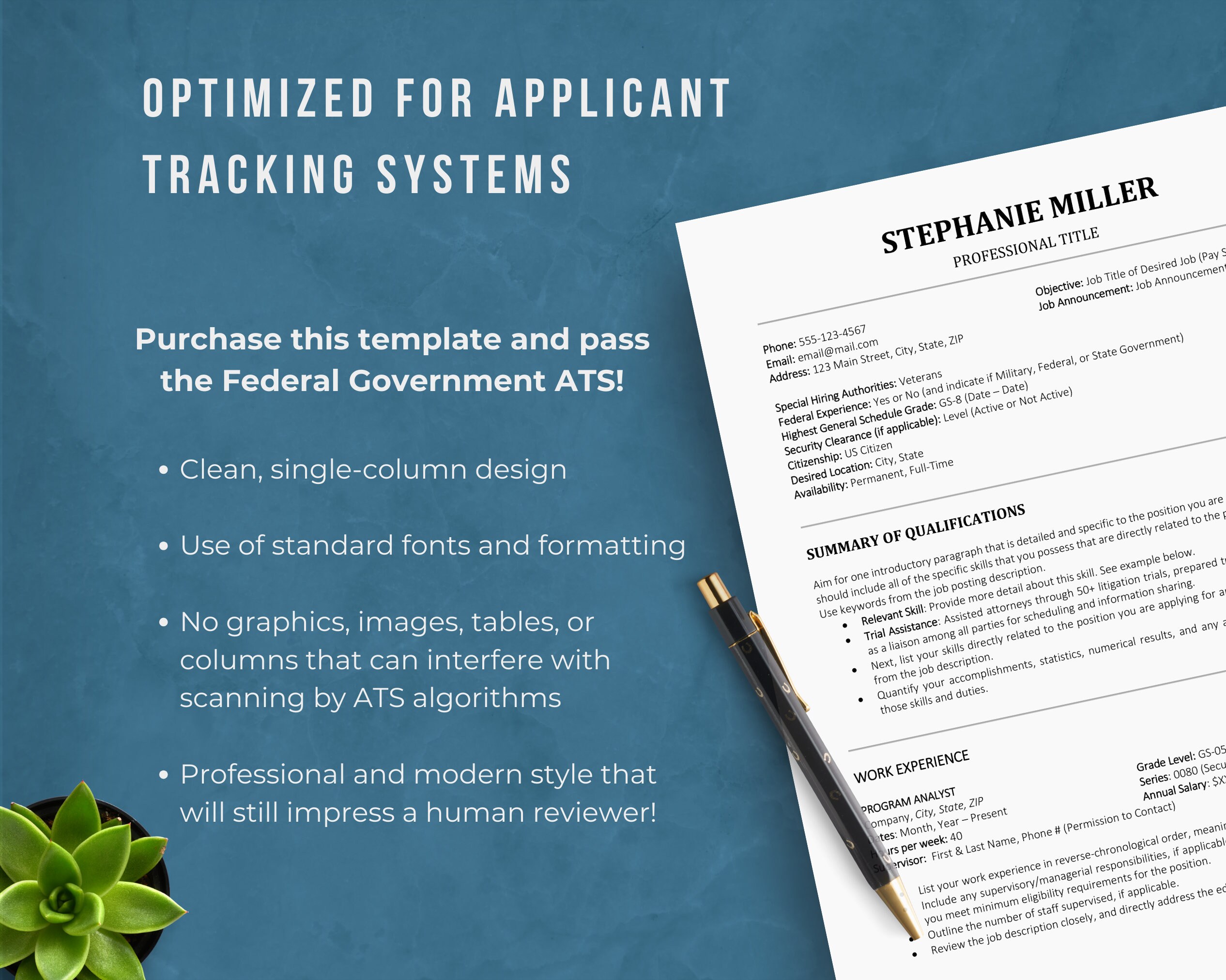 US Federal Resume Template for Word & Google Docs | USAJOBS Government ...