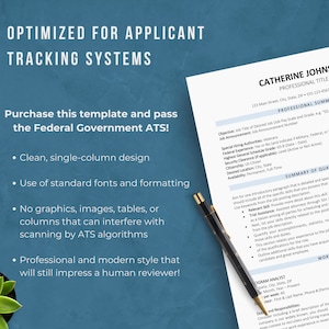 US Federal Resume Template for Word & Google Docs | USAJOBS Application ...