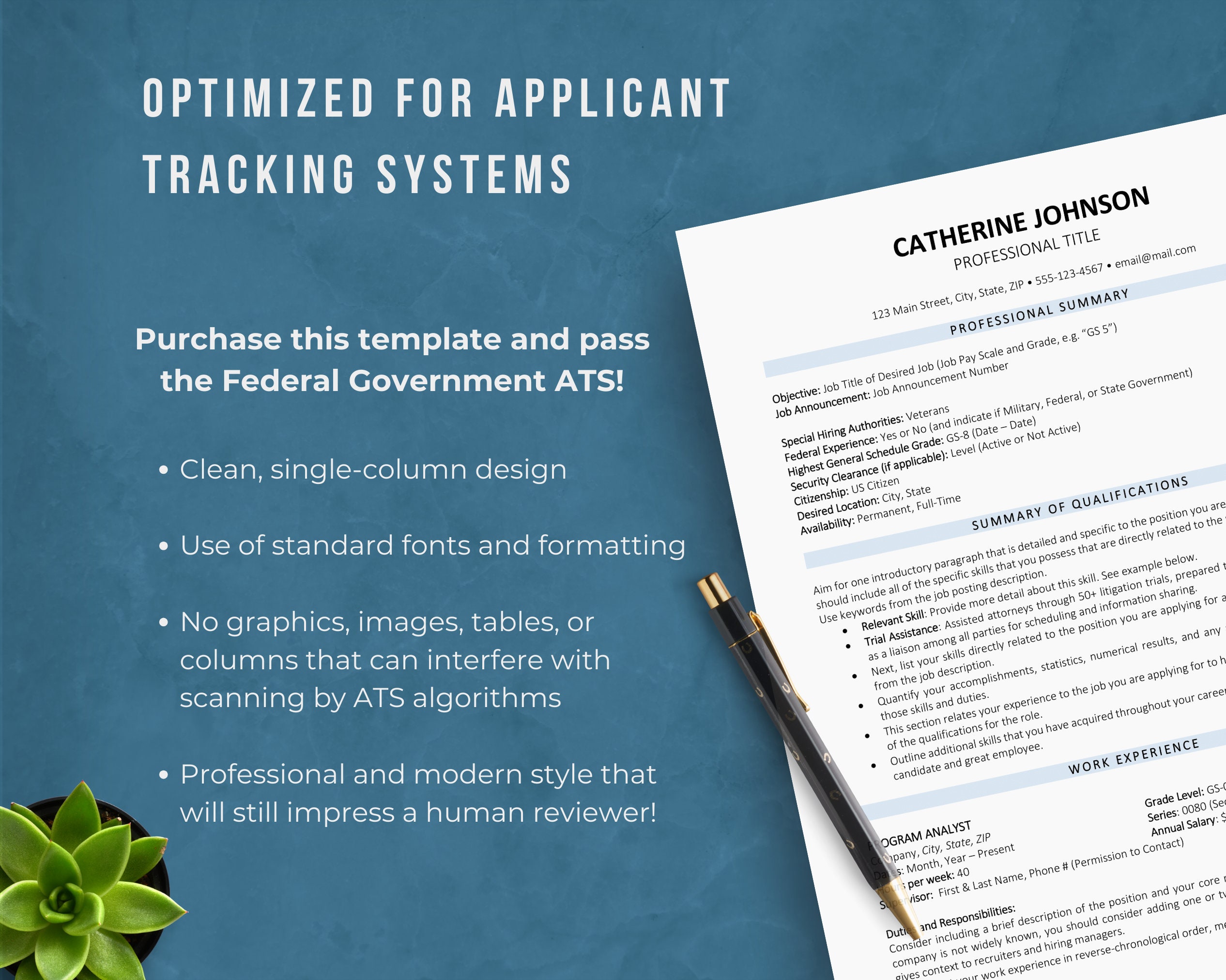 US Federal Resume Template for Word & Google Docs | USAJOBS Application ...