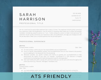 Google Docs ATS Friendly Resume Template, Executive CV Template and ...