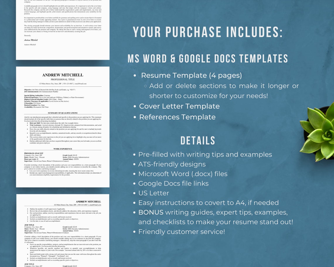 US Federal Resume Template for Word & Google Docs | USAJOBS Government ...