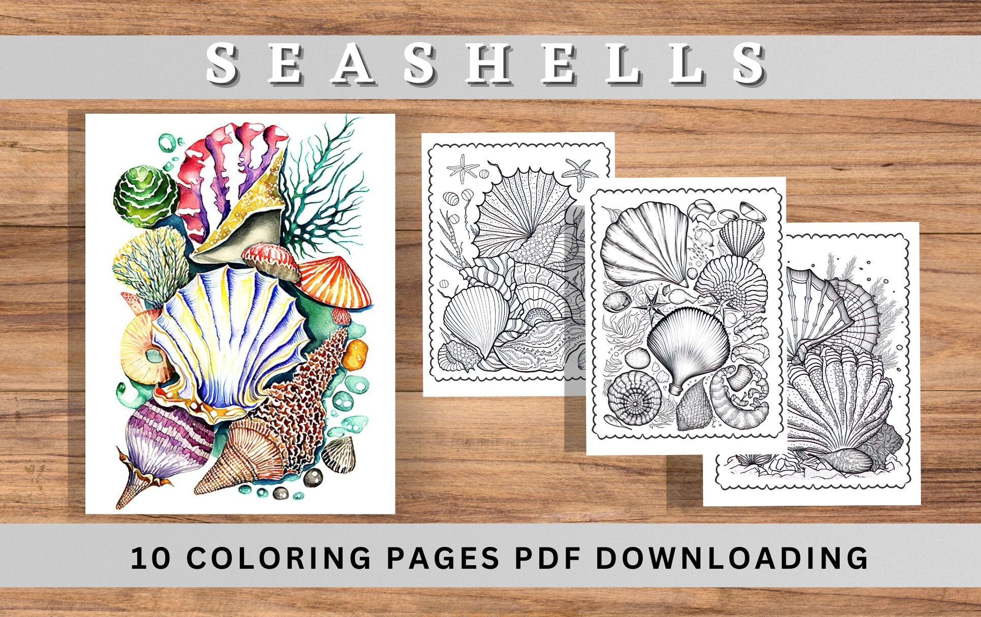 Ocean Coloring Pages Seashells Coloring Pages Coloring for Adult and ...