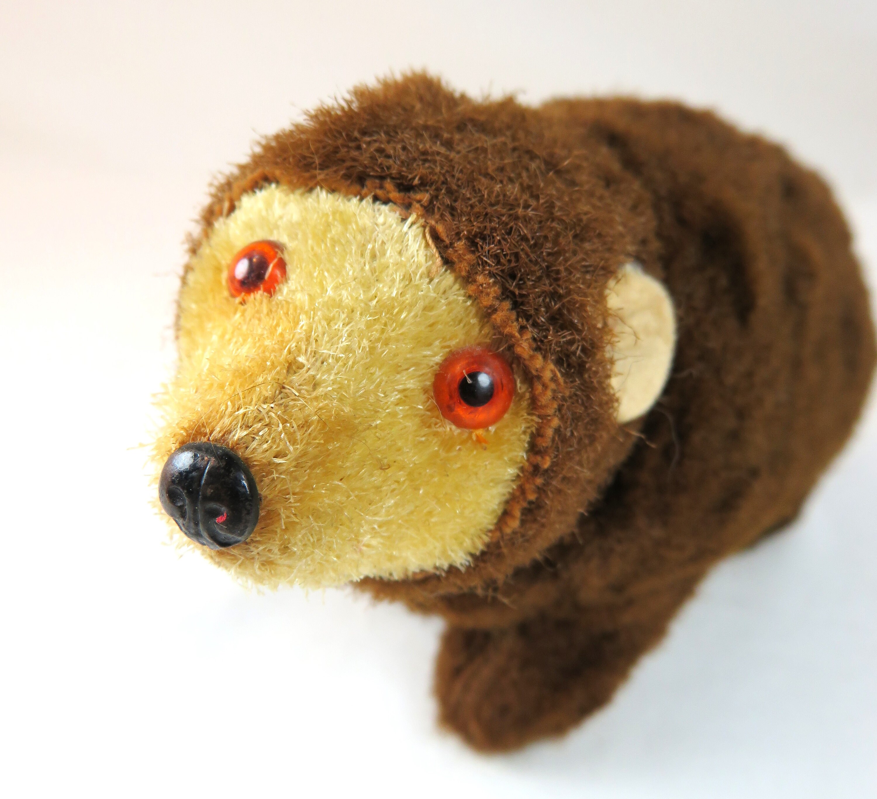 Rare Brown Bear Automaton Max Carl West Germany 1950s - Etsy UK