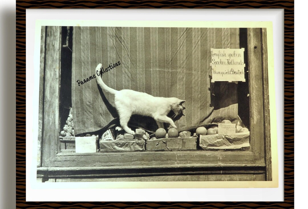 1953 Heliogravure of a Photo by SANDFORD H. ROTH cat, Place Du Tertre ...