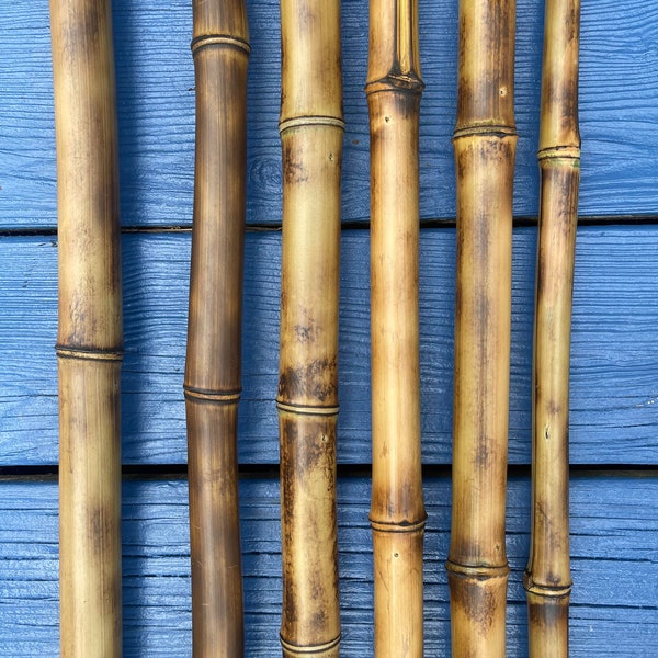 Bamboo Poles - Etsy