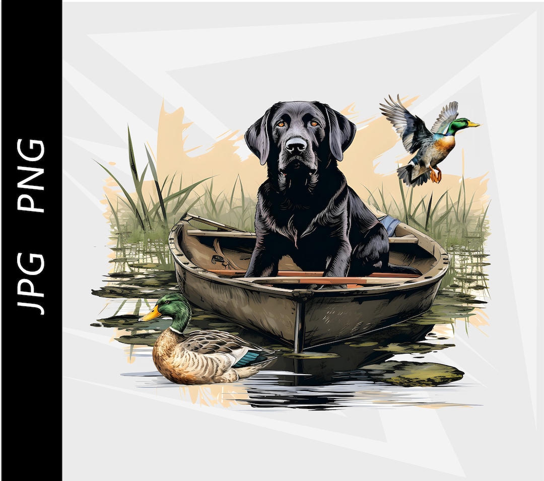 Black Lab Retriever, Duck Hunting Dog, Mallard Hunting, Duck Hunting ...