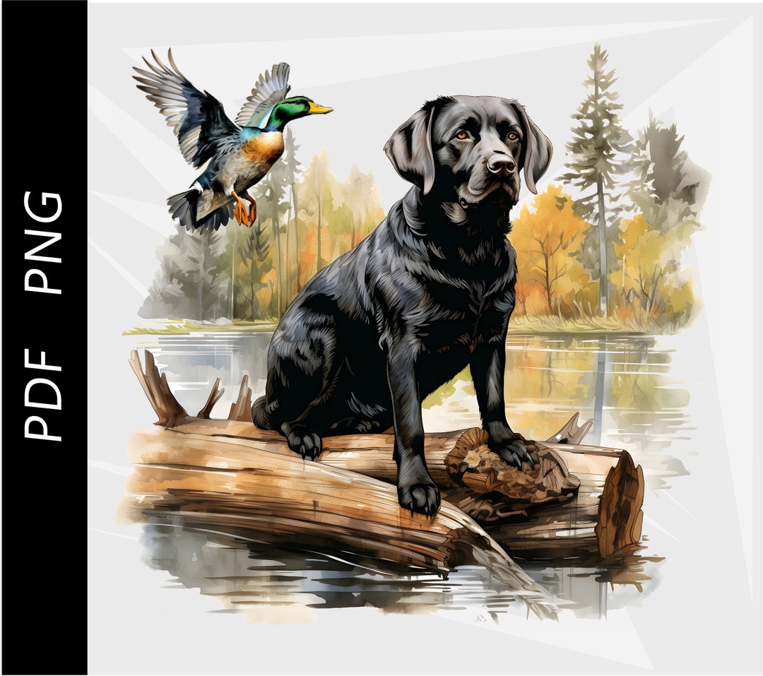 Black Lab Duck Hunting Art, Waterfowl Design (digital Download) - Etsy
