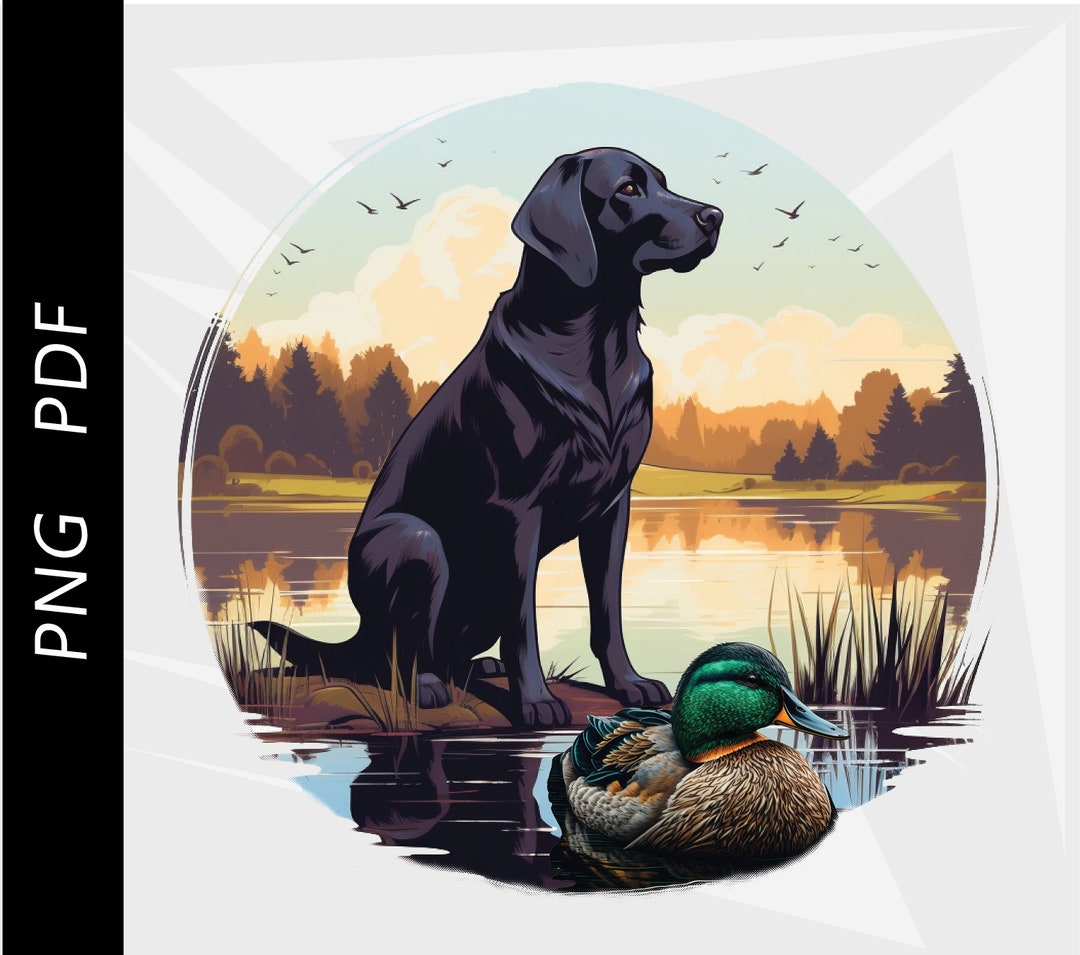 Black Lab Retriever, Duck Hunting Dog, Mallard Hunting, Waterfowl ...