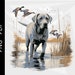 Silver Lab Retriever, Duck Hunting Dog, Mallard Hunting, Waterfowl ...