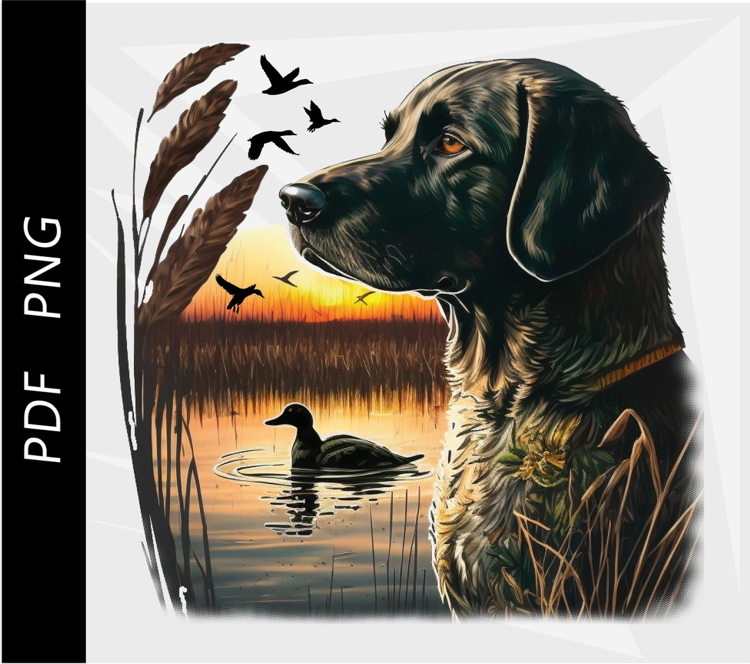 Black Lab Retriever, Duck Hunting Dog, Mallard Hunting, Duck Hunting ...