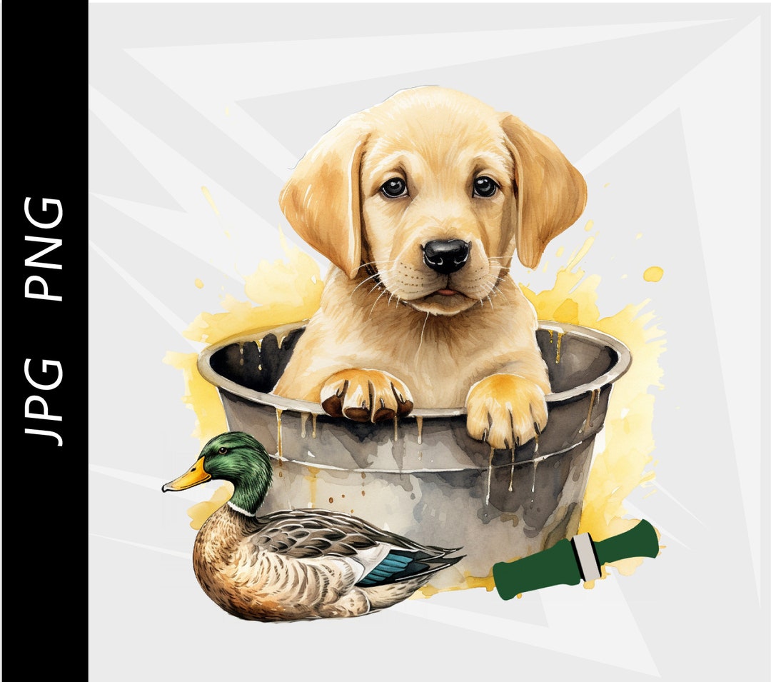 Yellow Lab Retriever, Duck Hunting Dog, Mallard Hunting, Duck Hunting ...
