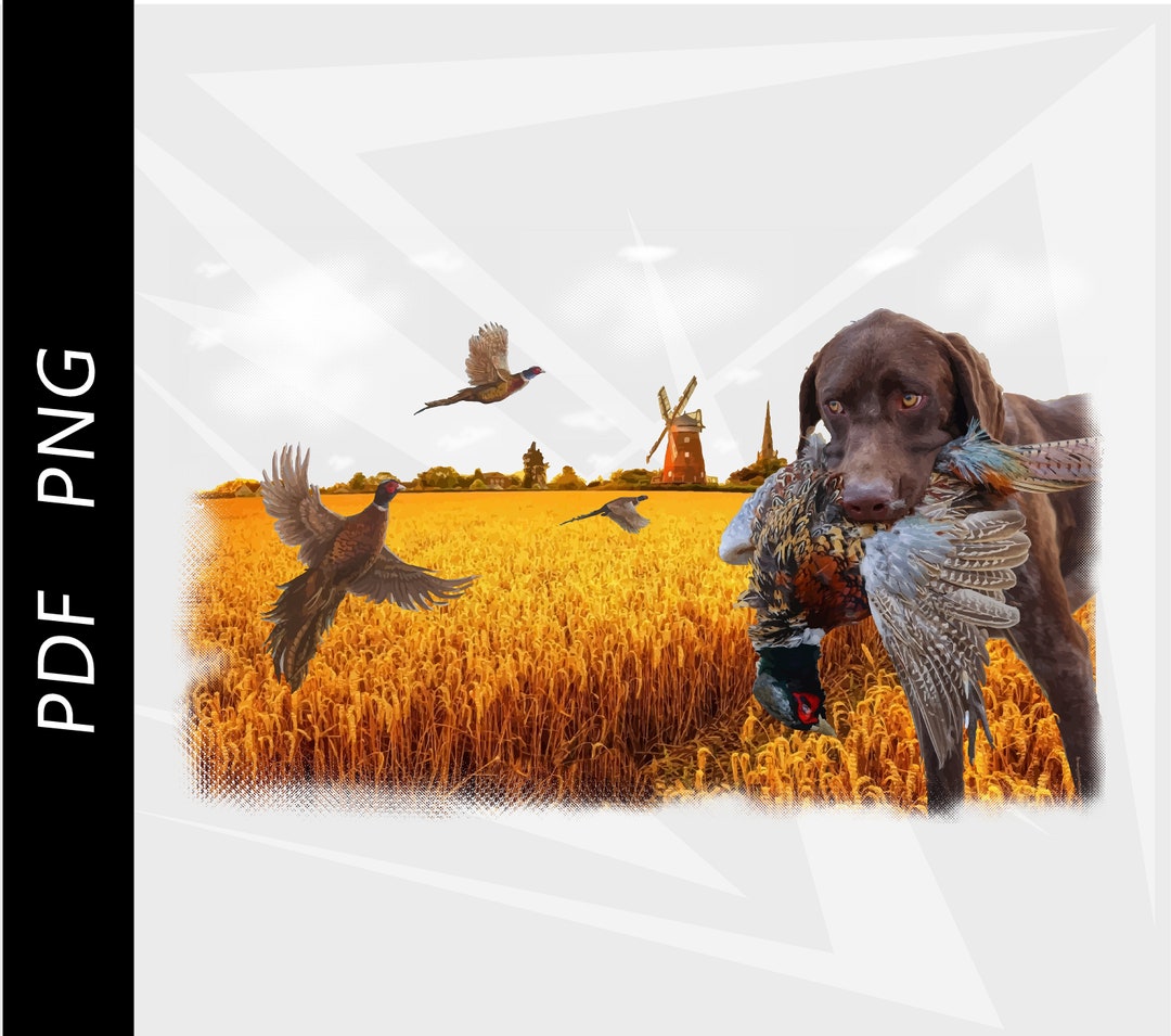 German Shorthaired Pointer Hunting Design, GSP, Pointer Dog , Pheasant ...
