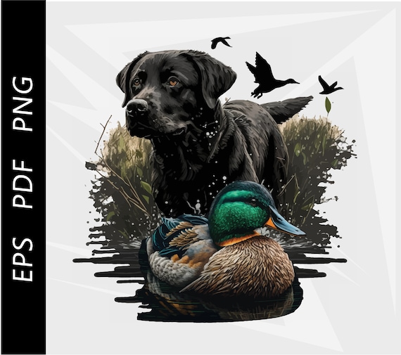Labrador Retriever Duck Hunting