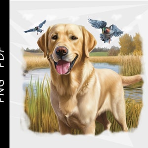 Golden Lab Retriever, Duck Hunting Dog, Mallard Hunting, Waterfowl ...