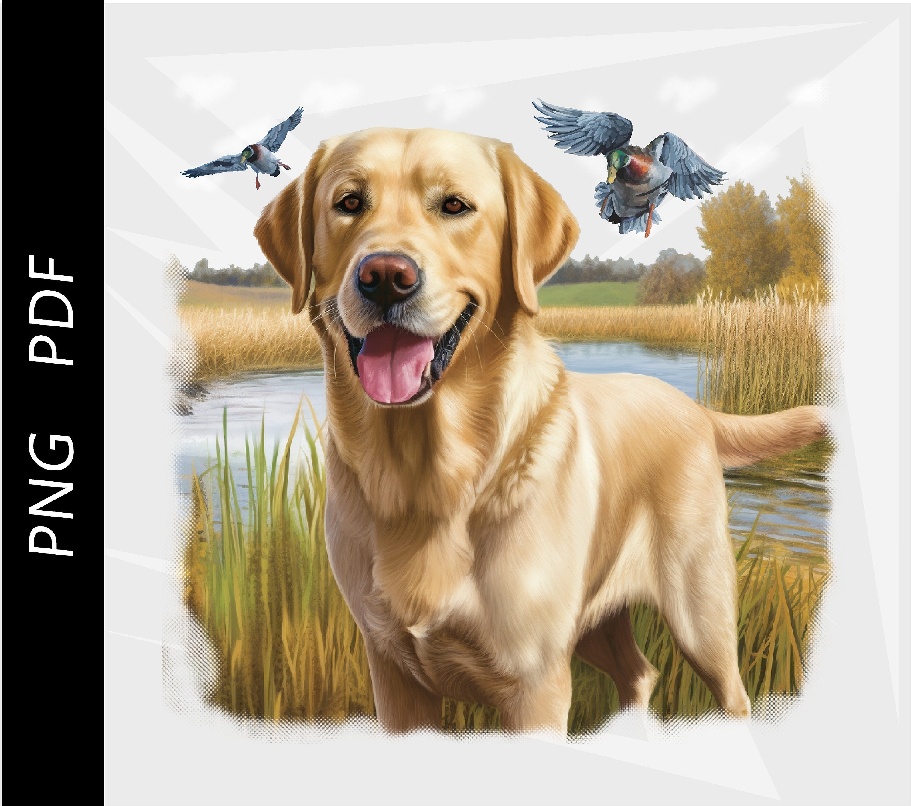 Golden Lab Retriever, Duck Hunting Dog, Mallard Hunting, Waterfowl ...