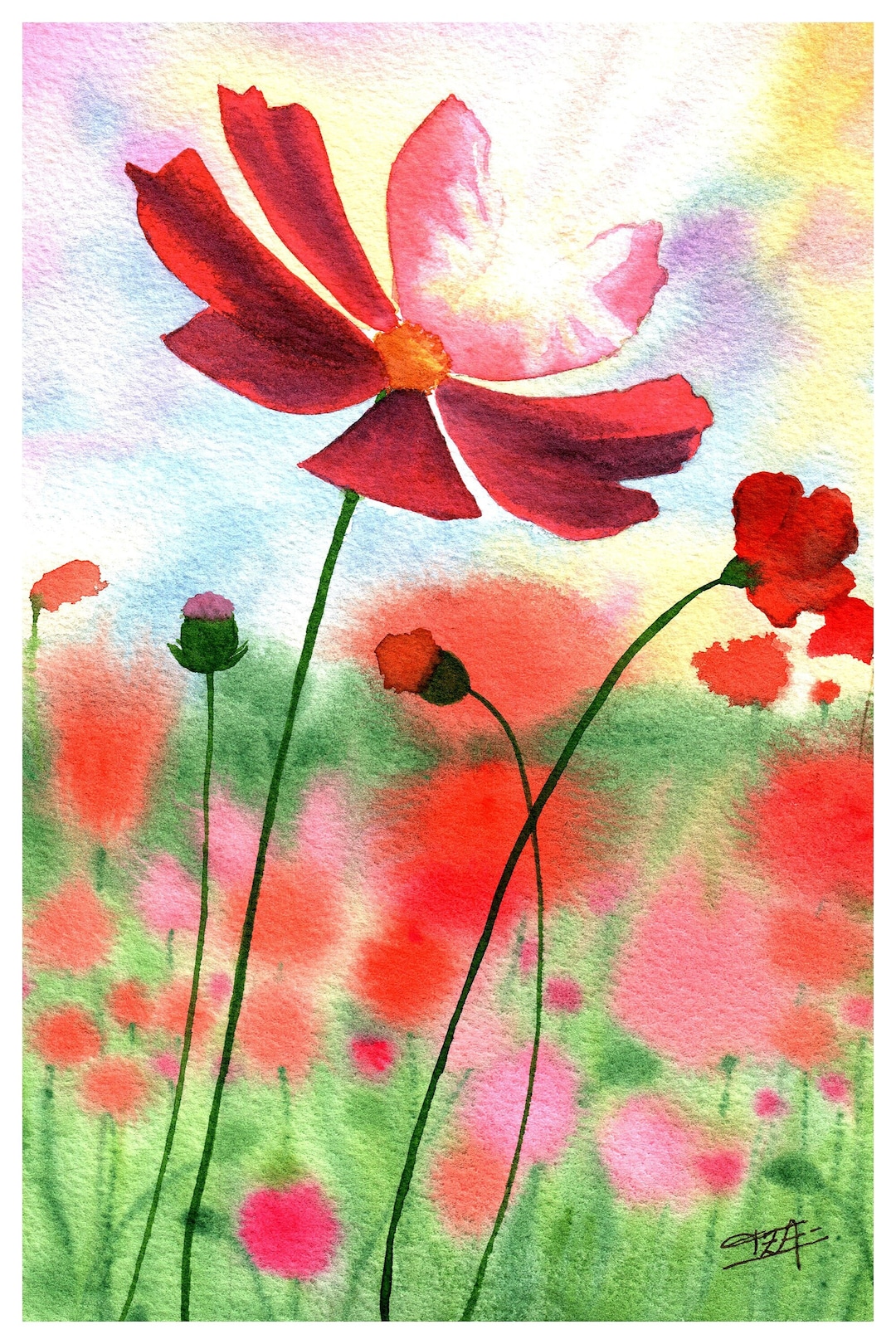 Original Watercolor Painting Cosmos Flowers and Field of - Etsy
