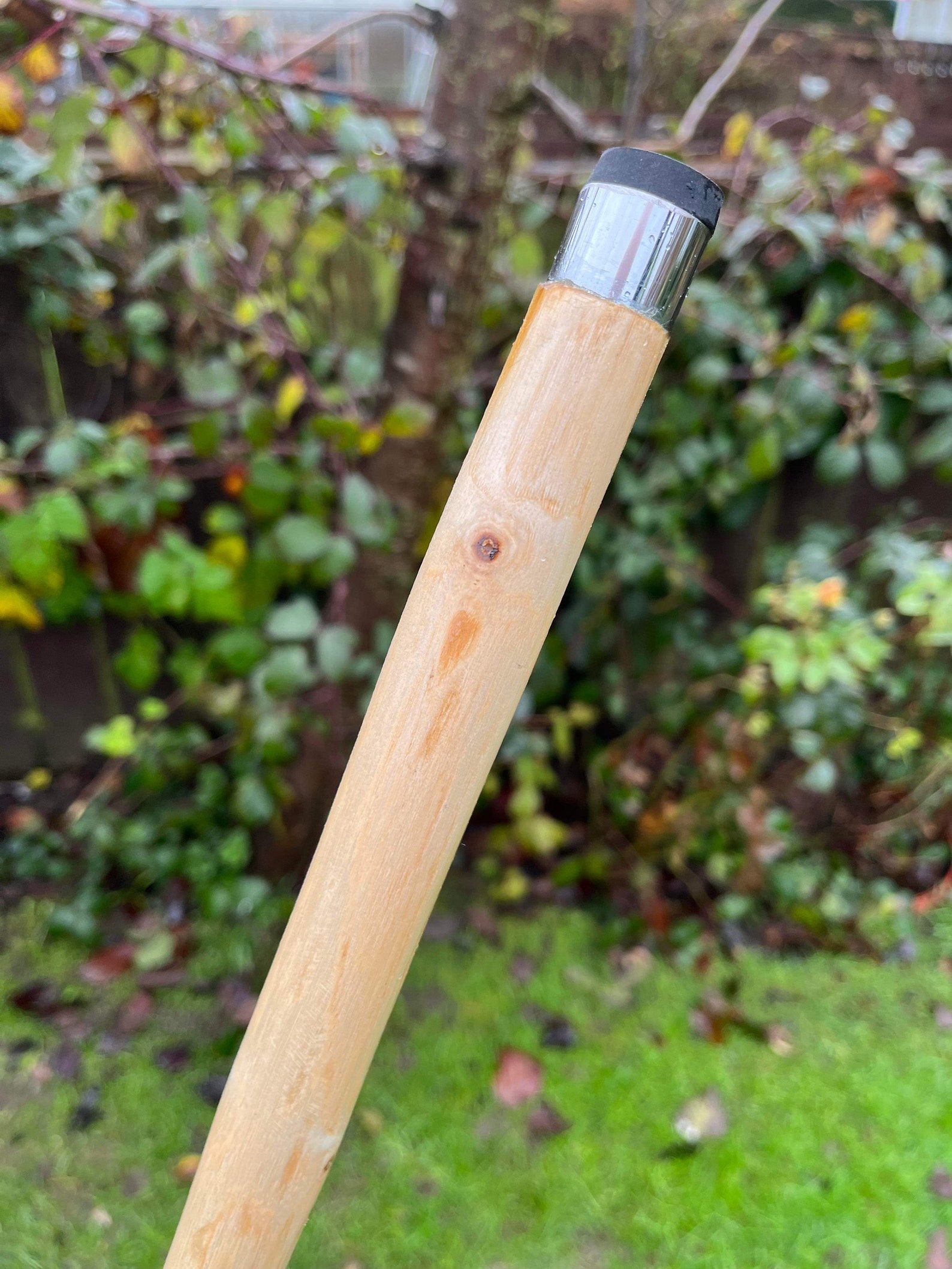 Beautiful Walking Stick Thumbstick - Etsy