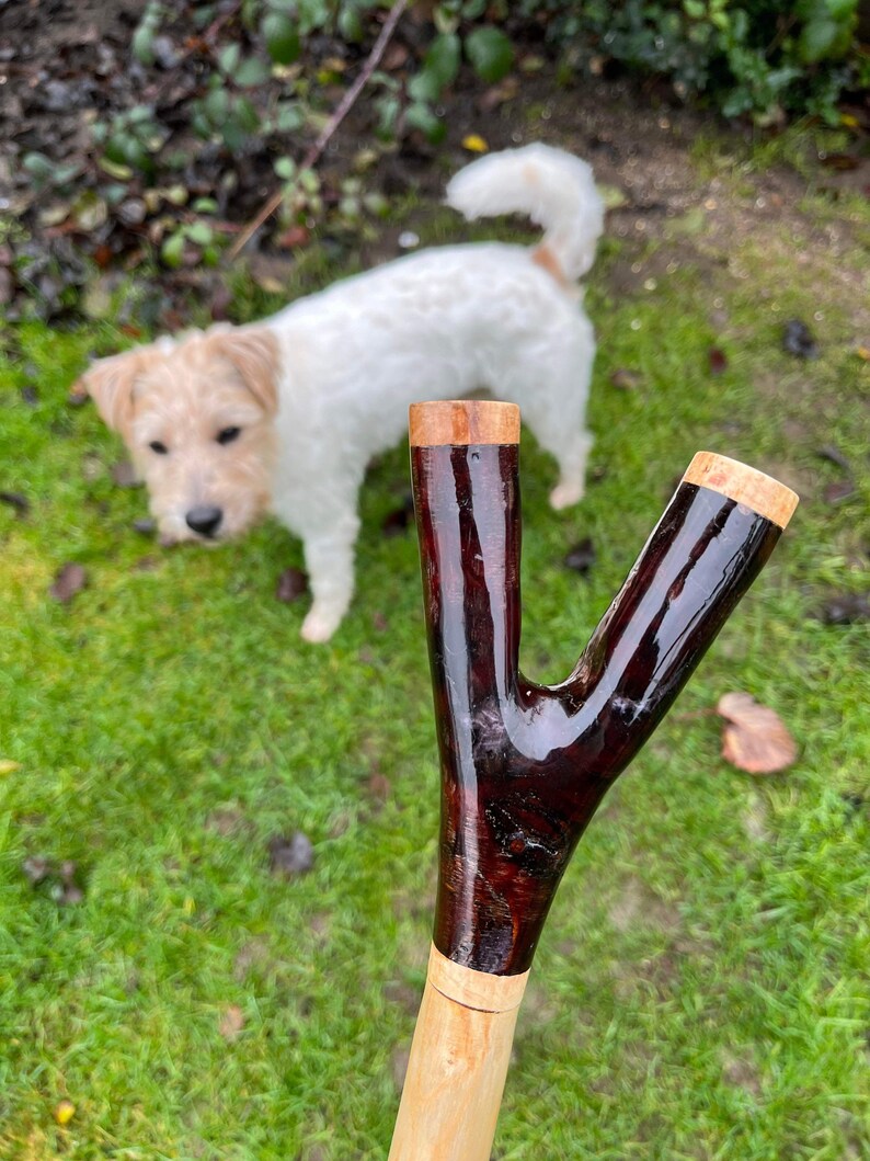 Beautiful Walking Stick Thumbstick - Etsy