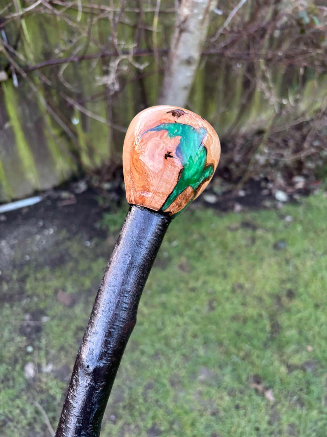 Nice Blackthorn Walking Stick - Etsy UK