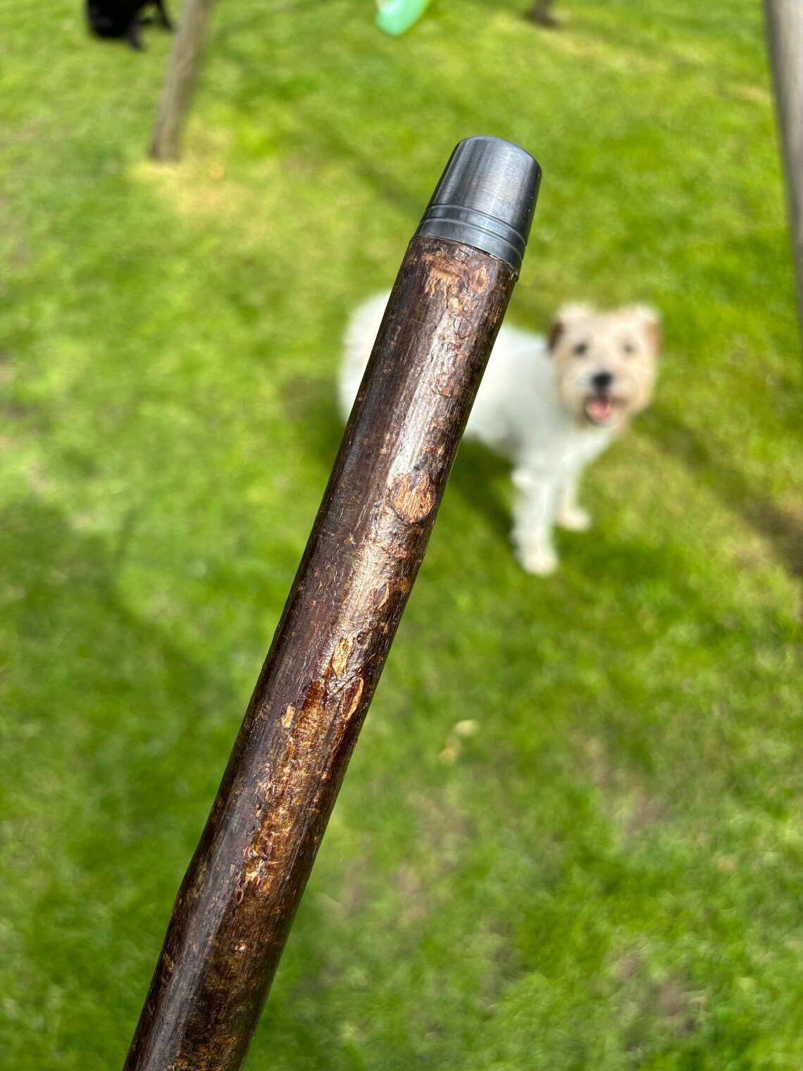 Hazel Thumbstick Walking Stick - Etsy UK