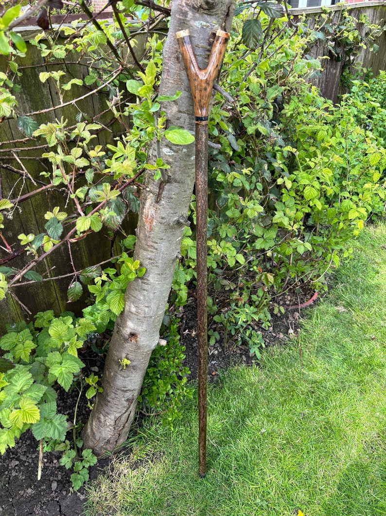 Hazel Thumbstick Walking Stick - Etsy UK