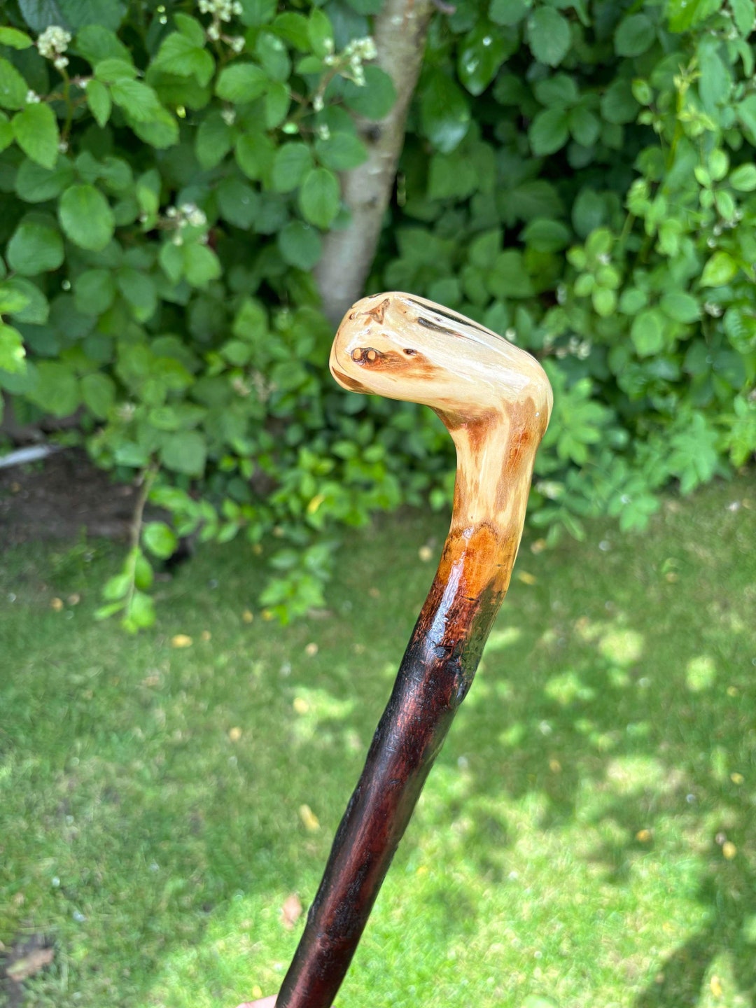 Blackthorn Walking Stick - Etsy UK