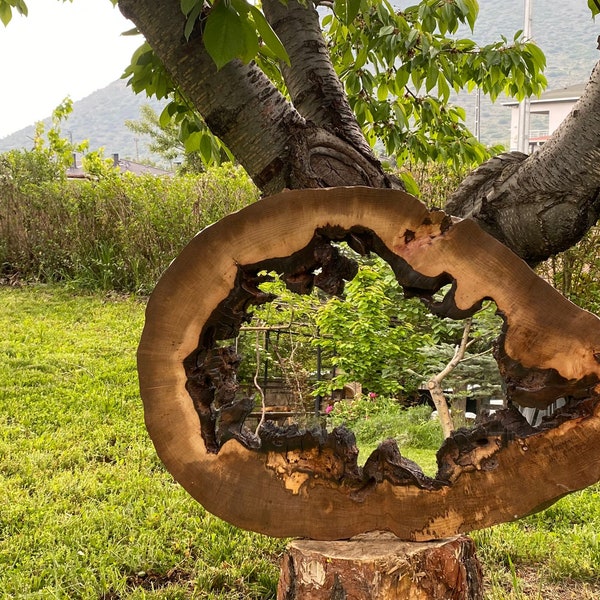 Live Edge Mirror - Etsy