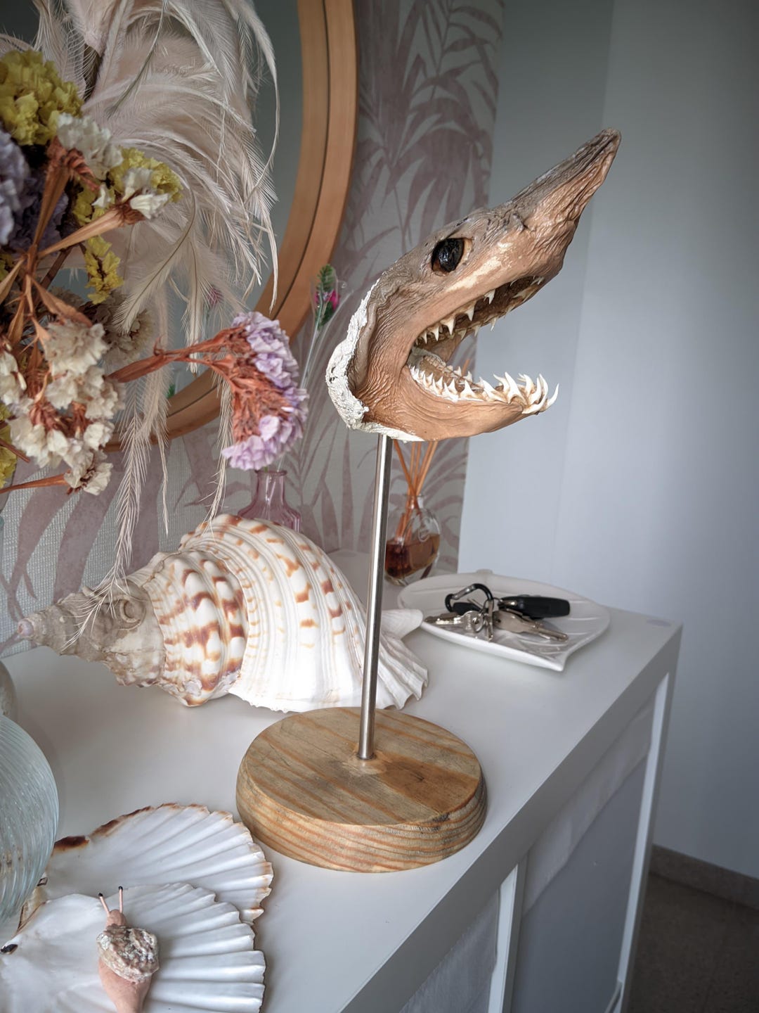 Real Mako Shark Head Taxidermy – Preserved Shark Skull, Nautical Decor ...