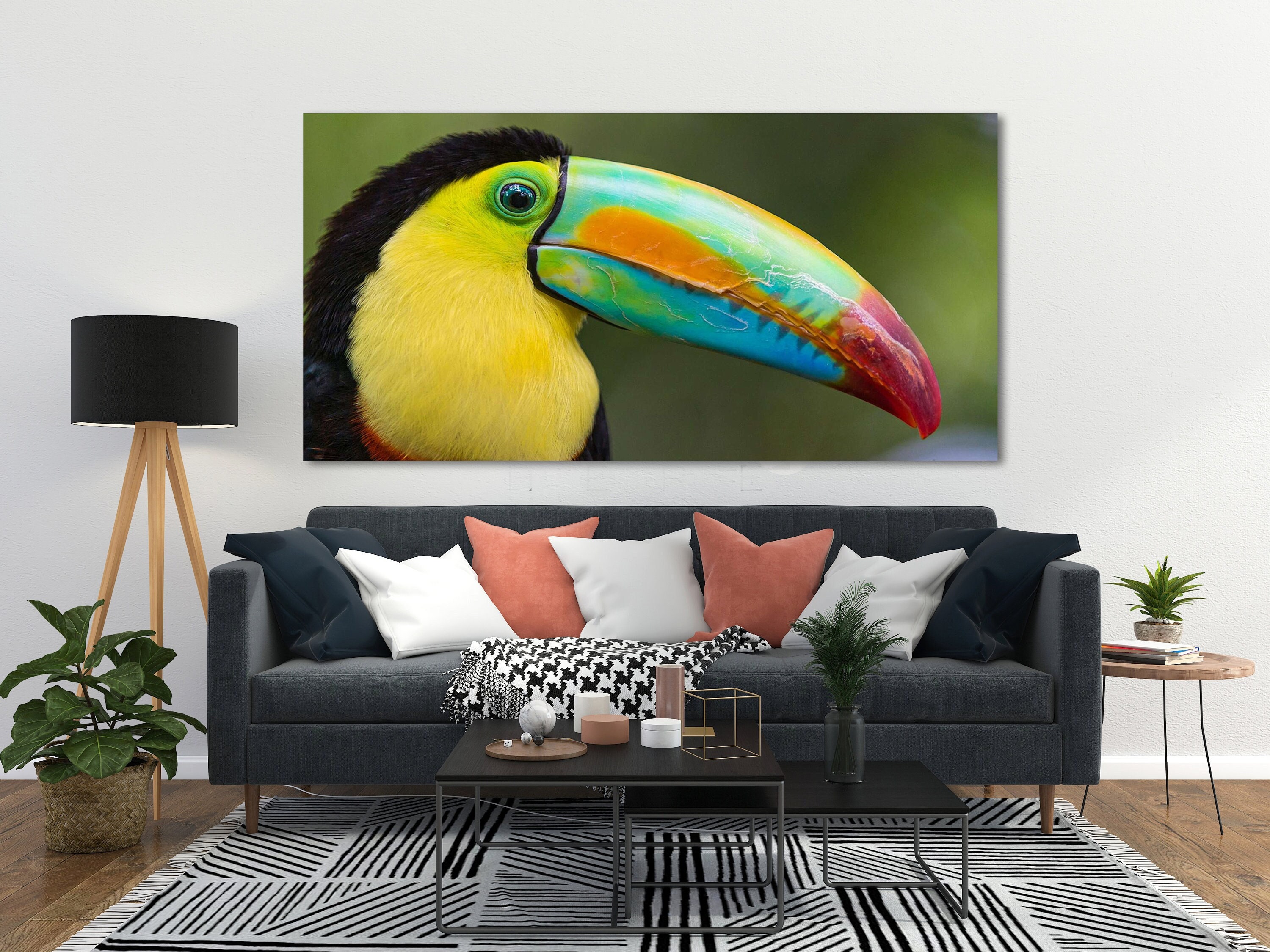 Parrot Canvas, Huge Canvas Art, Colorful Wall Art, Polly Wall Art ...