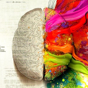 Left Brain Vs. Right Brain Canvas Art, Modern Canvas Art, Scientific ...