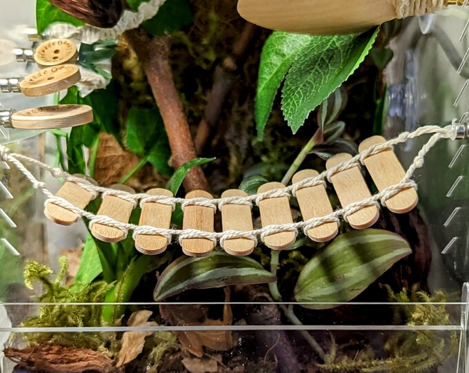 Magnetic Wood and Rope Bridge for Jumping Spider, Insect, Mantis ...