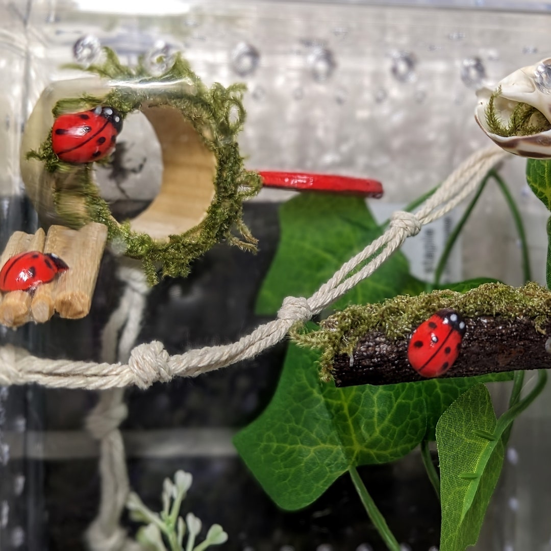 Magnetic Rope Bridge, Ledge for Jumping Spider or Small Insect ...